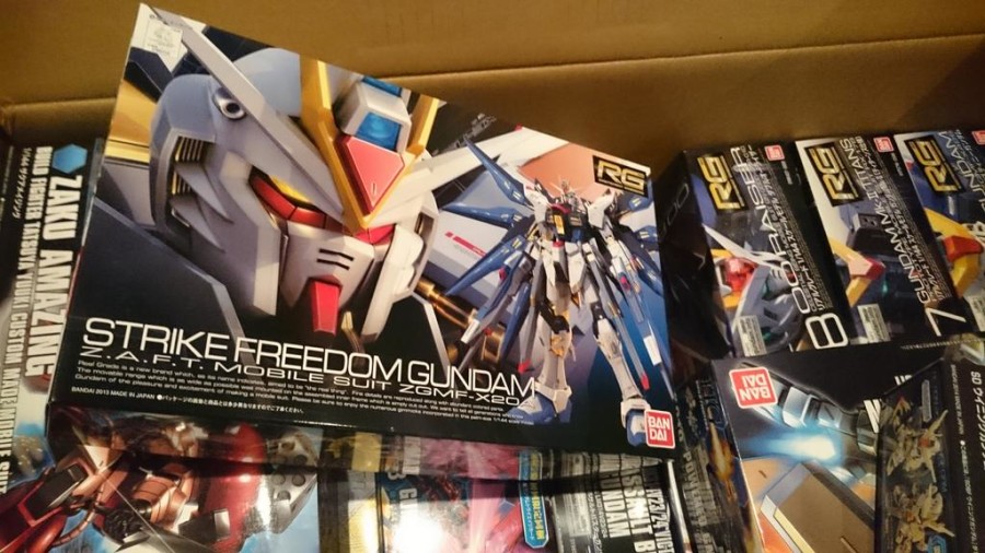 PG Strike Freedom Internal Frame | Saint-ism – Gaming, Gunpla, Digital Art